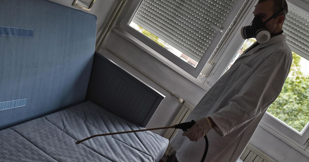 V postelji z malim vampirjem - Svet24.si