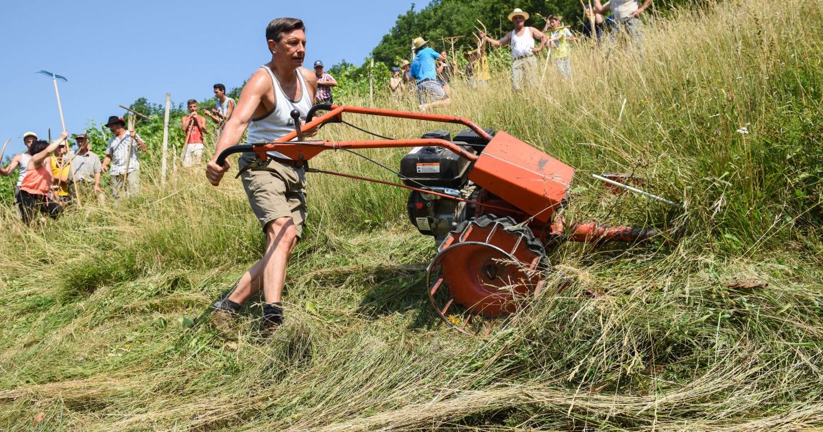 Kralj Instagrama, njegove miške, domotožje, boruting in kršenje pravil ...
