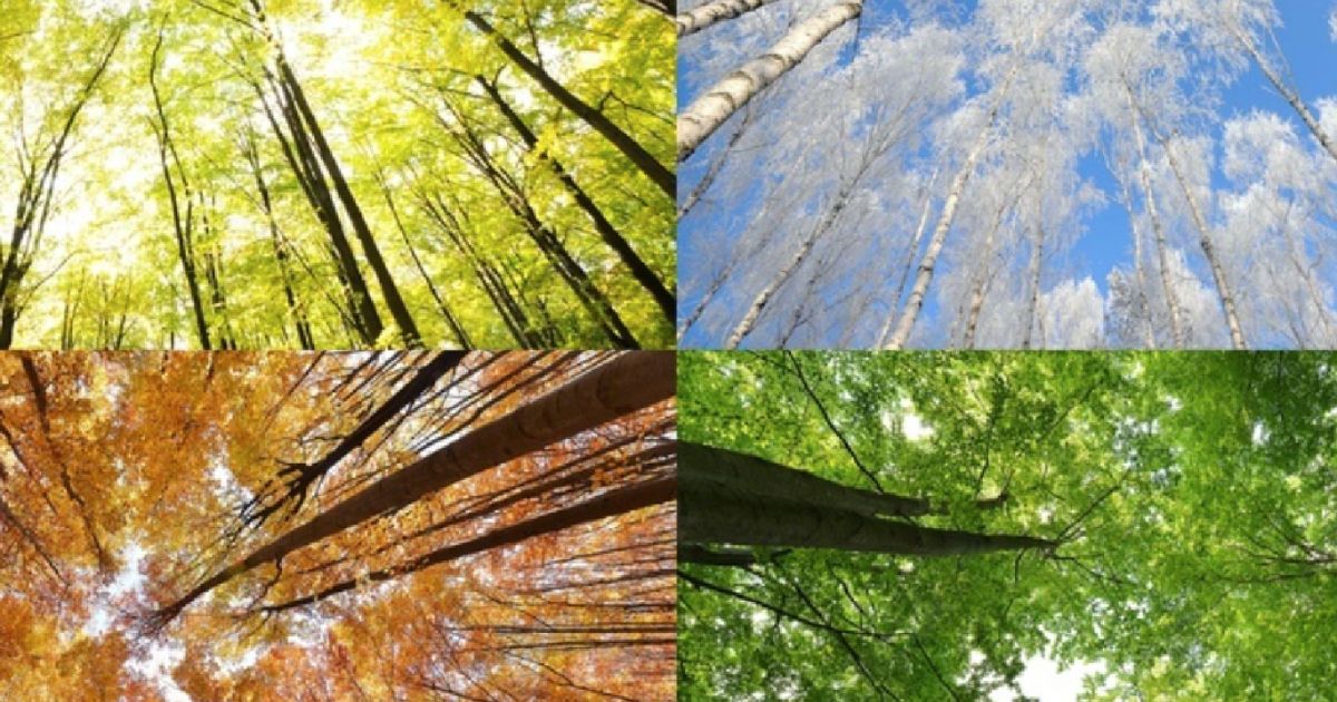 LETNI ČASI - Veseljak.si