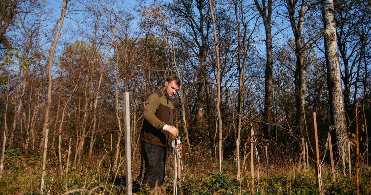 Naj skrbnik gozda 26-letnik iz Beltinec: Začel z nekaj ari, danes ...