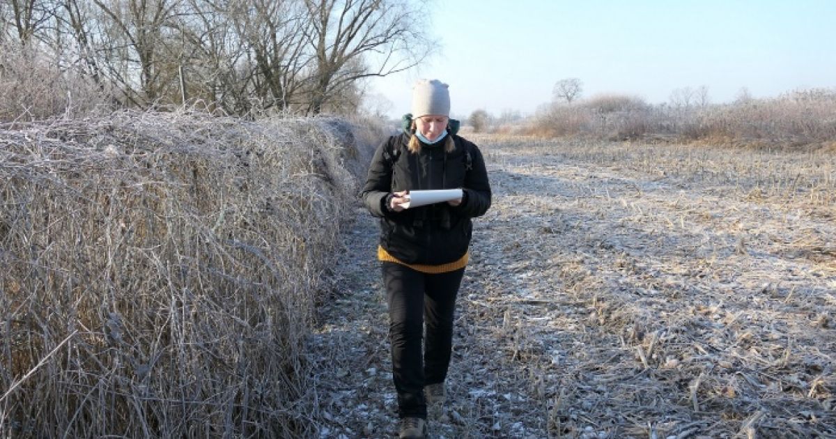 Najštevilčnejša ptica v Kozjanskem parku velika sinica - Svet24.si