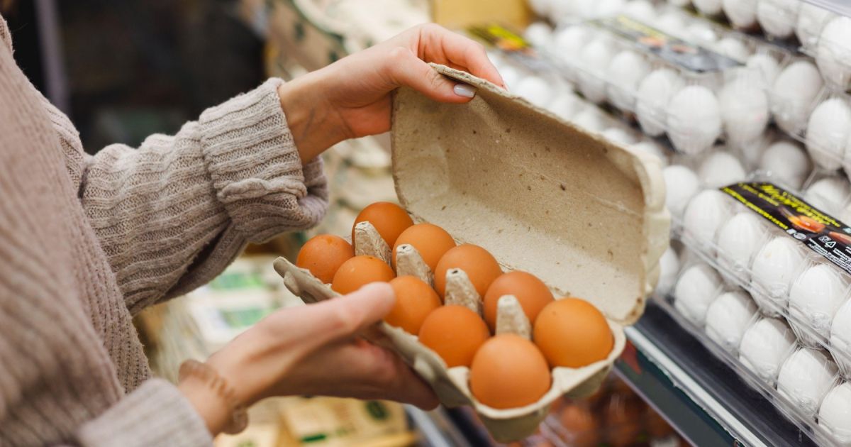 Cene kokošjih jajc poletele v nebo - Svet24.si