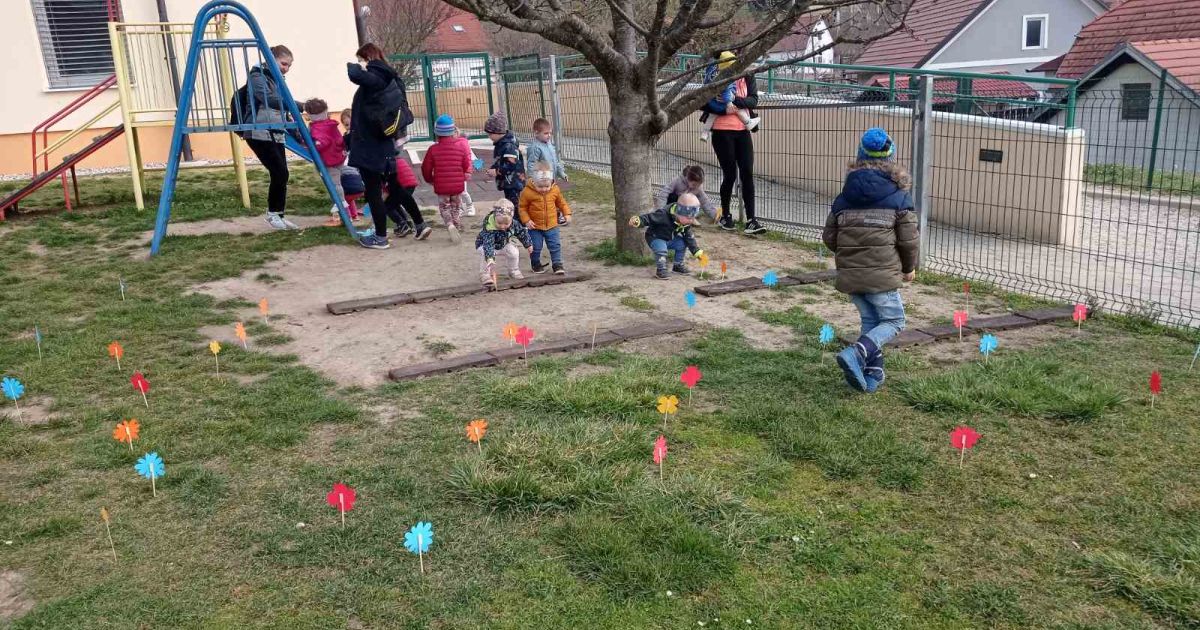 Prvi pomladni dan in svetovni dan gozdov - Svet24.si