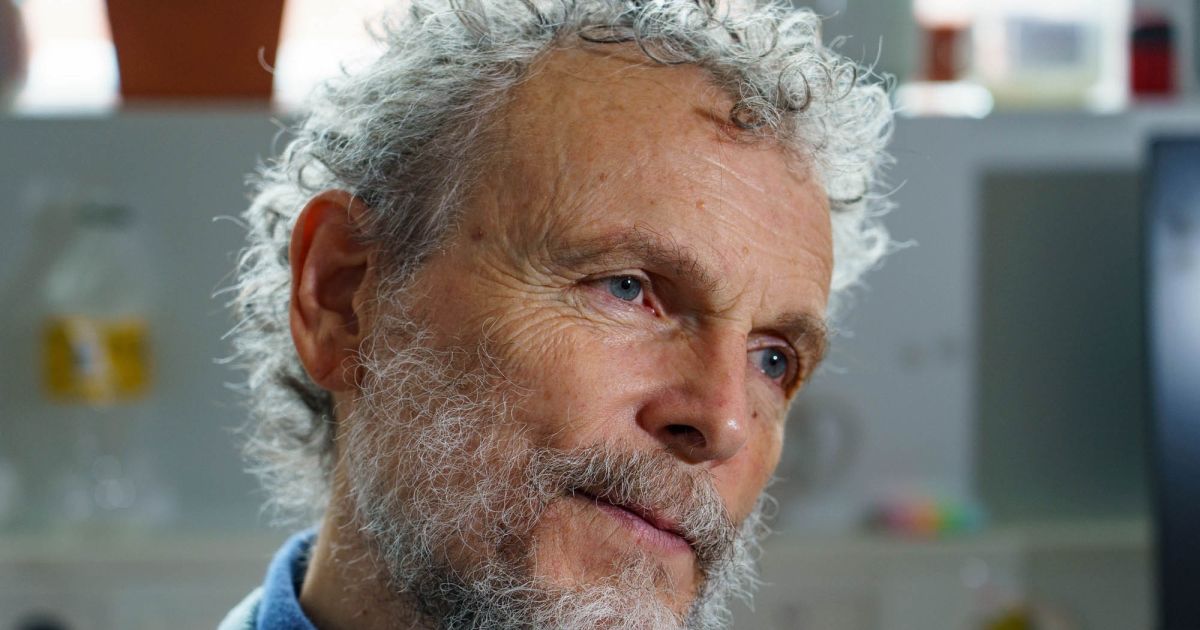 Kriminolog Dragan Petrovec o nasilju: Čez noč ne gre - Svet24.si