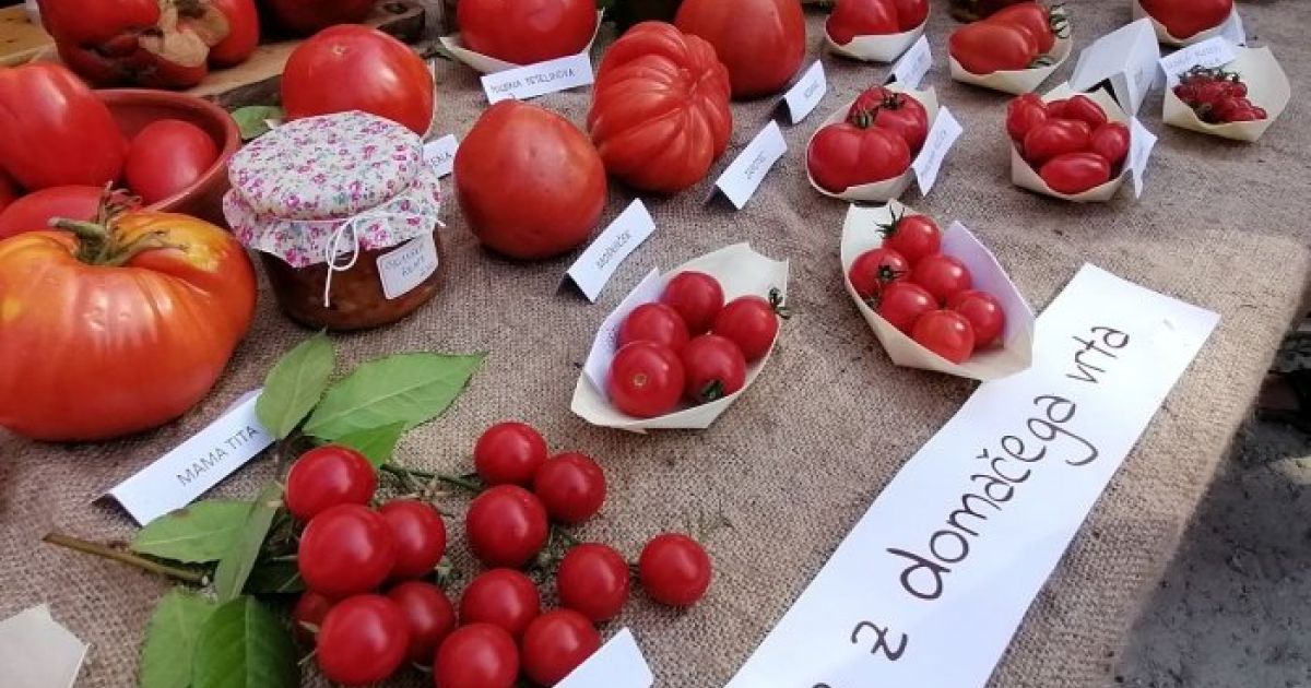 Pred katerimi obolenji vas bo obvaroval paradižnik? - Svet24.si