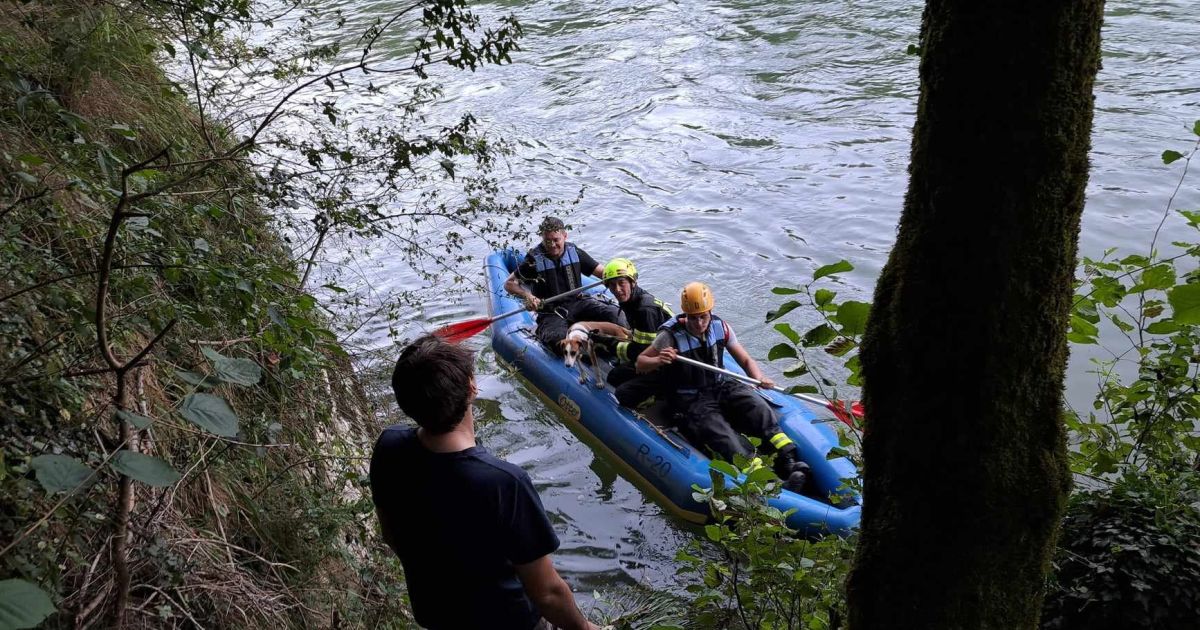 Iz prepada rešili psa - Svet24.si