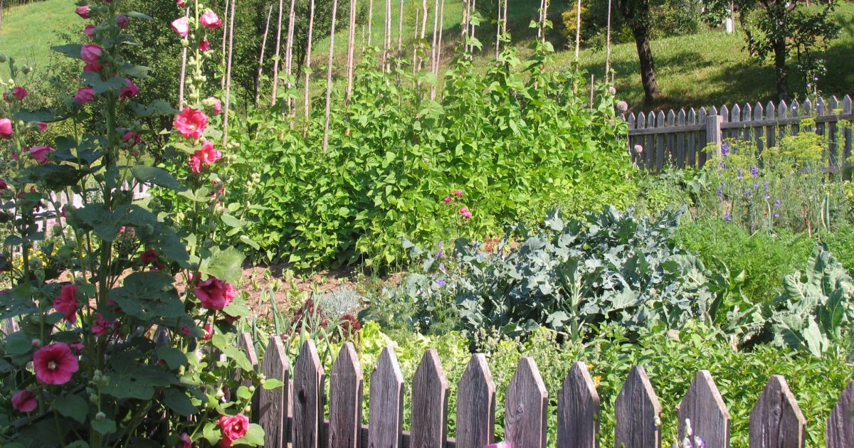 Ne pozabite na kolobar! - Svet24.si