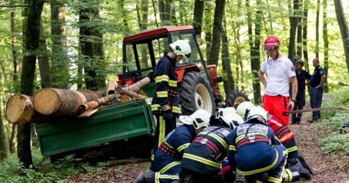 Nesreča v gozdu - Svet24.si