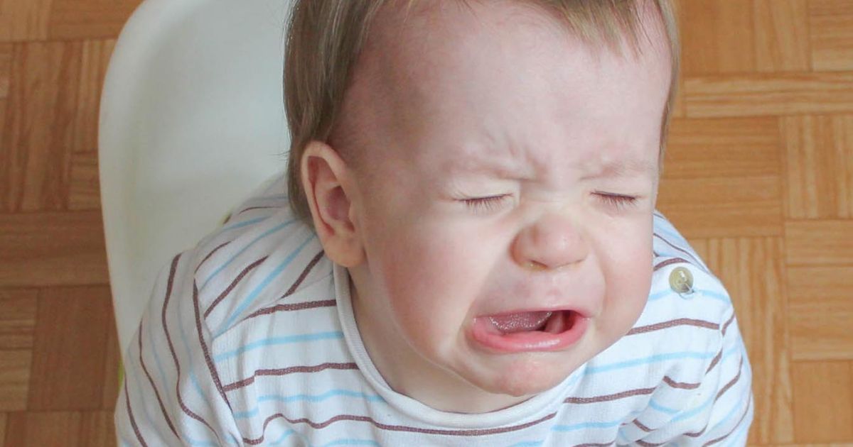 Ko je kahlica strah in trepet - Svet24.si