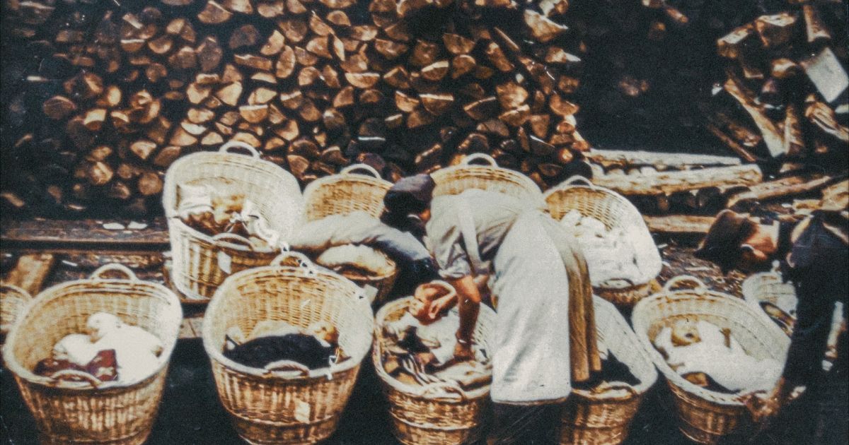 Maja Weiss v novem dokumentarcu odstira resnico o slovenskih otrocih ...