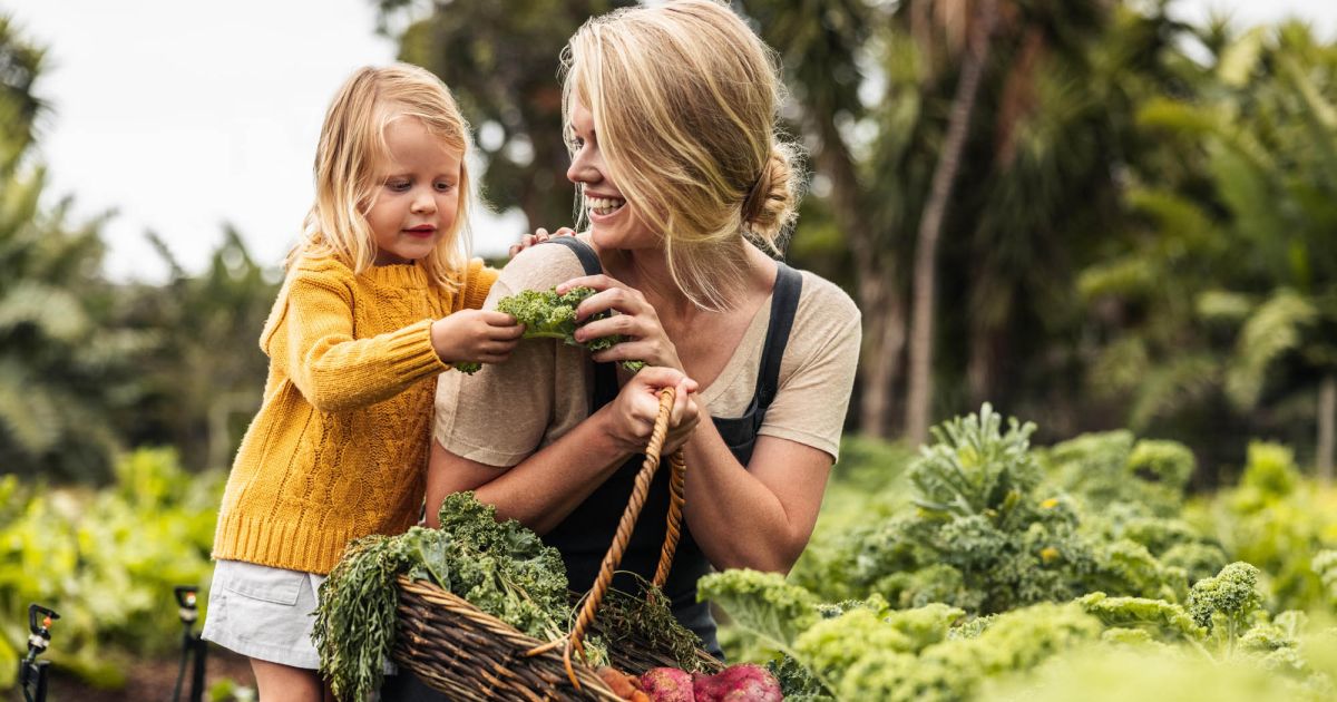 Okrepimo si jetra in žolč - Svet24.si