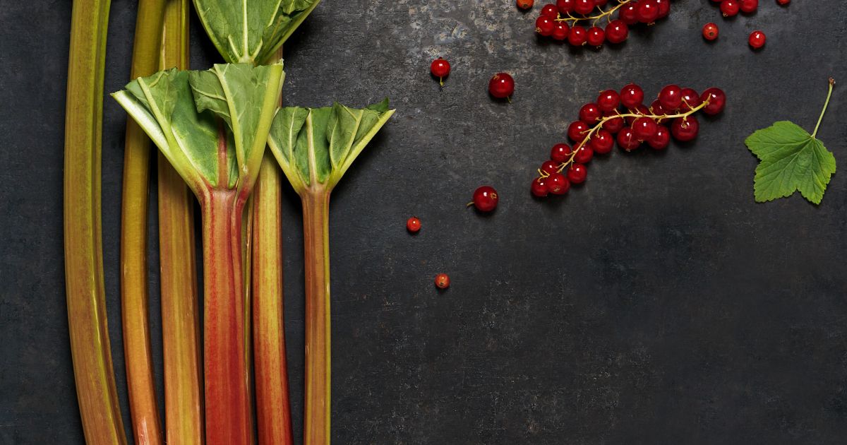 Sladko-kisle dobrote iz domačega ribeza in rabarbare - Svet24.si