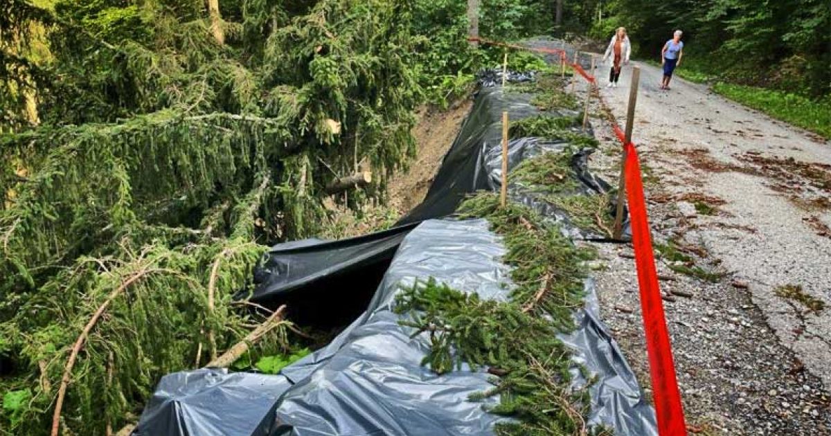 Razmere v Velenju se umirjajo - Naš čas