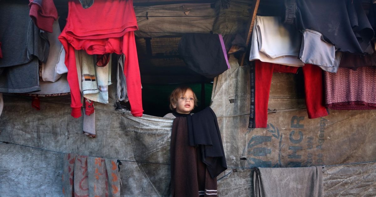 Vodja agencije Združenih narodov za pomoč palestinskim beguncem svari ...