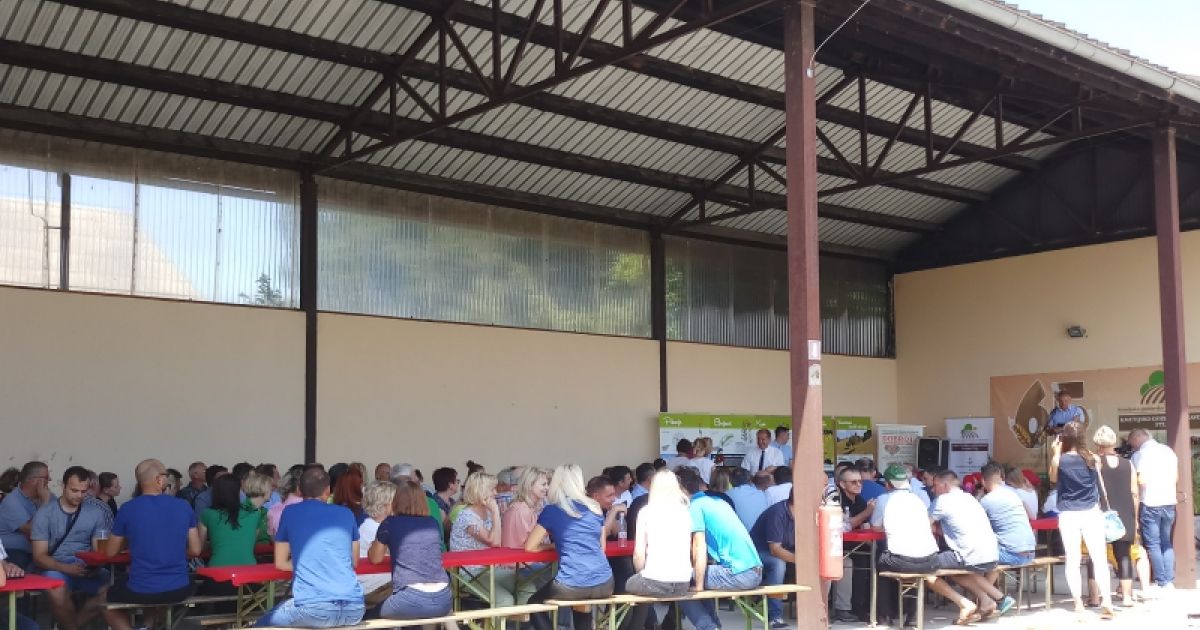 Podravje: Sladkorno peso vrniti v poljedelski kolobar - Svet24.si