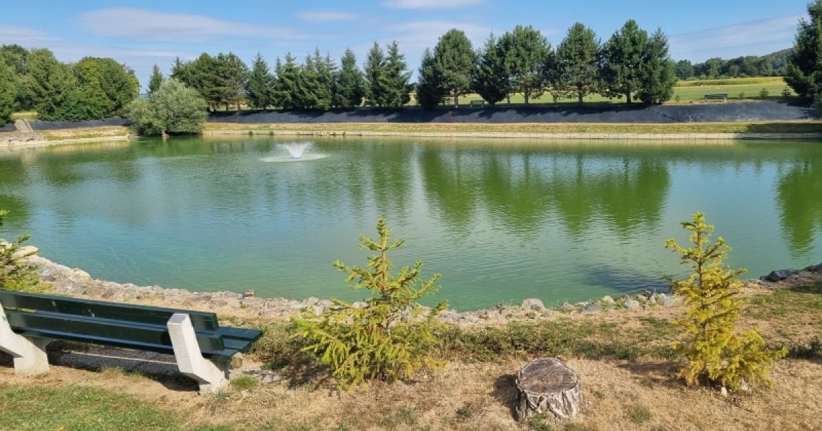 Gorišnica: Iz zasmetene gramozne jame so uredili ribnik - Svet24.si