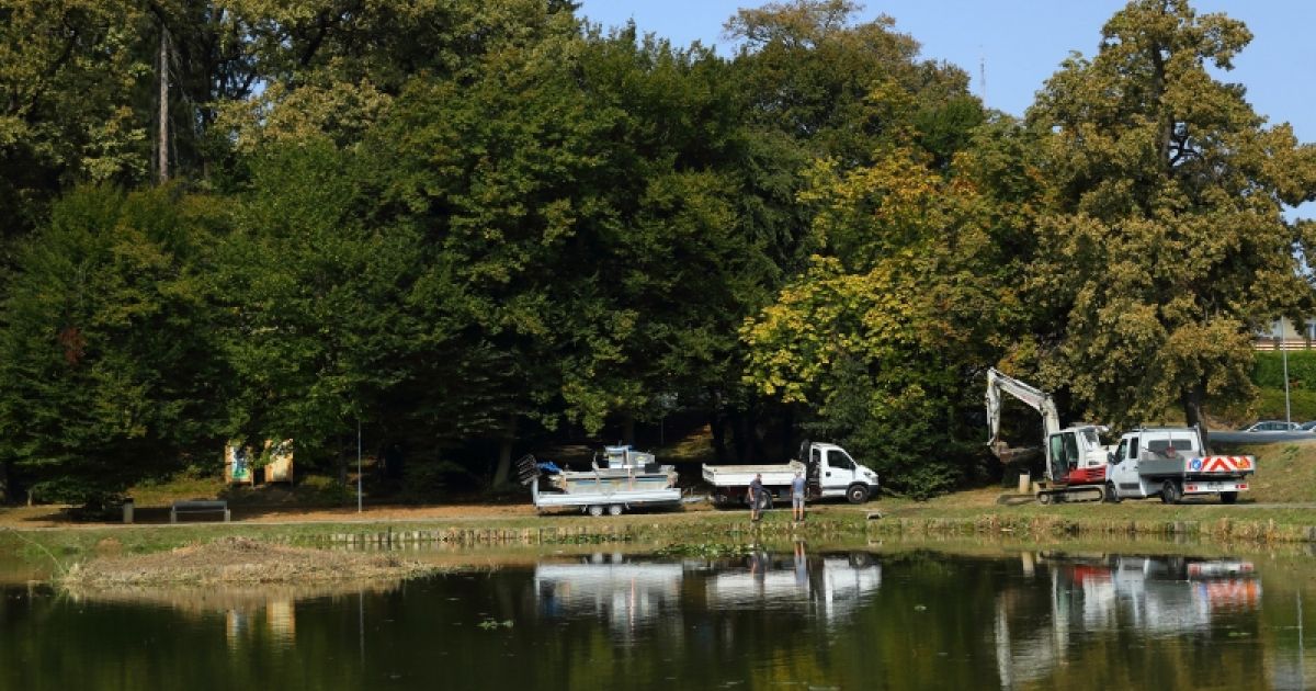 Ribnik bo kmalu krasila nova vrba - Svet24.si