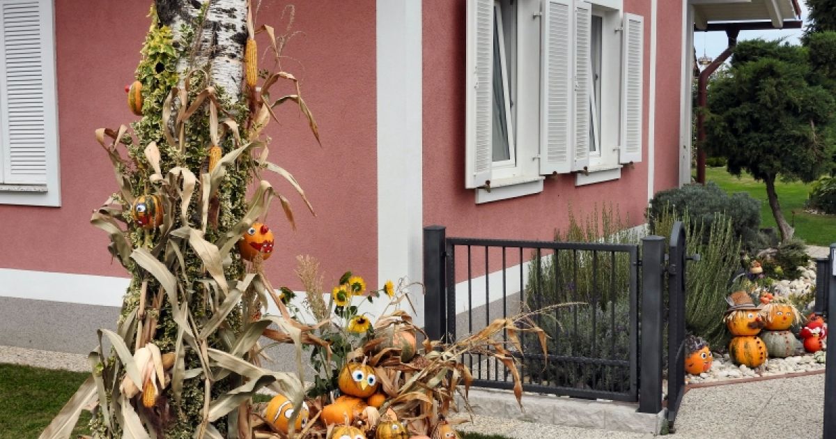 Bučijada v Središču ob Dravi: Prva nagrada Stojanu in Zdenki Celin ...