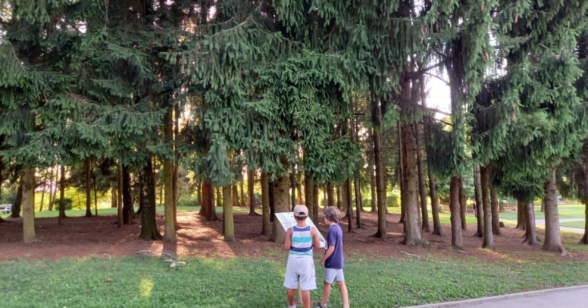 Družno v »boj« za zeleno oazo - Svet24.si