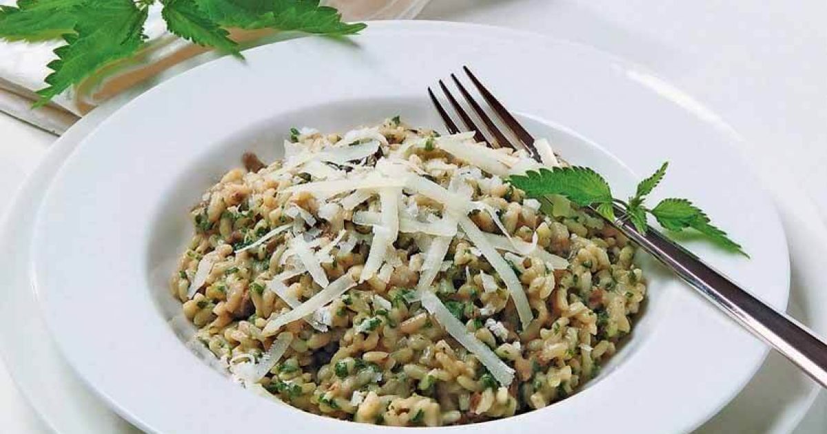 Rižota s koprivami in jurčki - Svet24.si