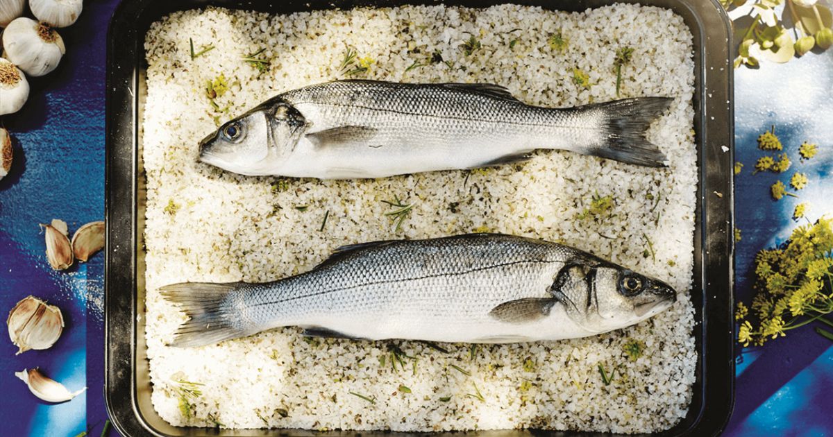 Najboljše ribe so naše ribe - Svet24.si