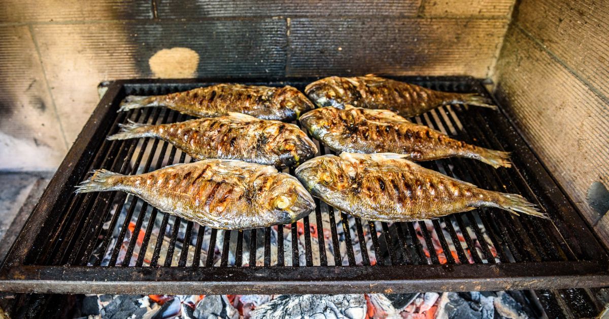 Tako se ribe ne bodo prijele na rešetko - Svet24.si