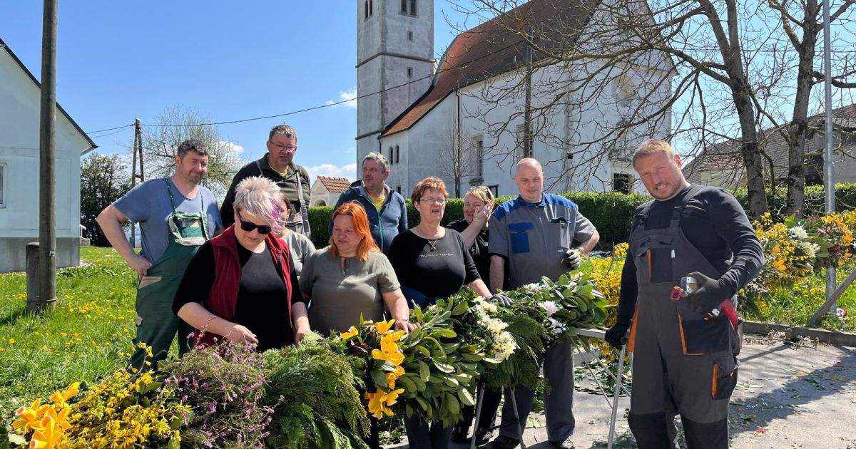 V Sedražu butara velikanka letos meri kar 18,7 metra - Svet24.si