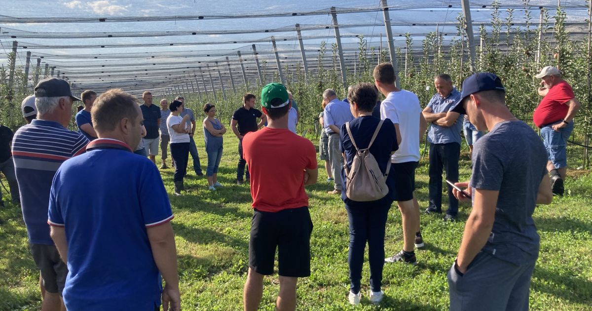 Kmetijsko gozdarski zavod Novo mesto v projektu za odpornejše sadjarstvo - Svet24.si