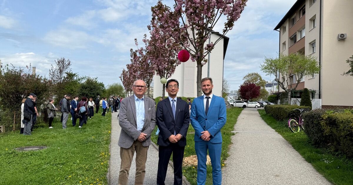 Prvo praznovanje Hanamija v kočevskem Sakura parku - Svet24.si