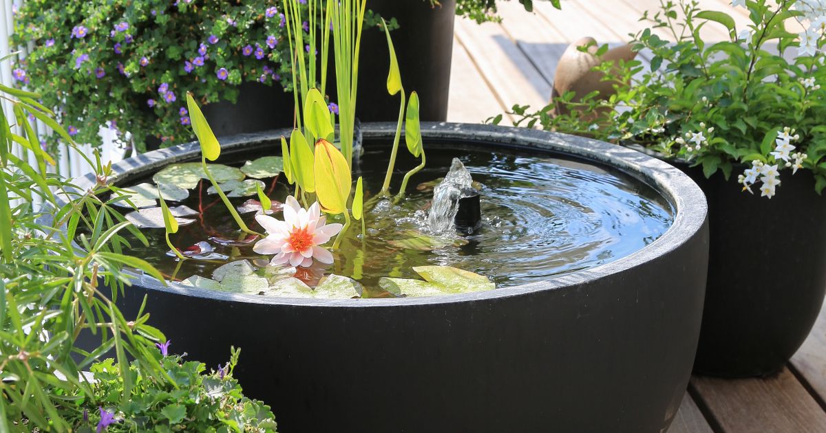 Naredimo mini ribnik - Svet24.si