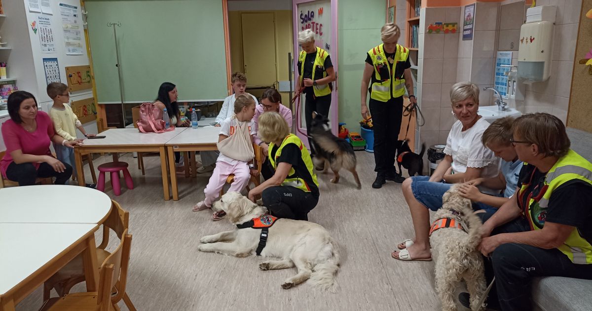 Reševalni psi obiskali OŠ Drsko in pediatrični oddelek - Svet24.si