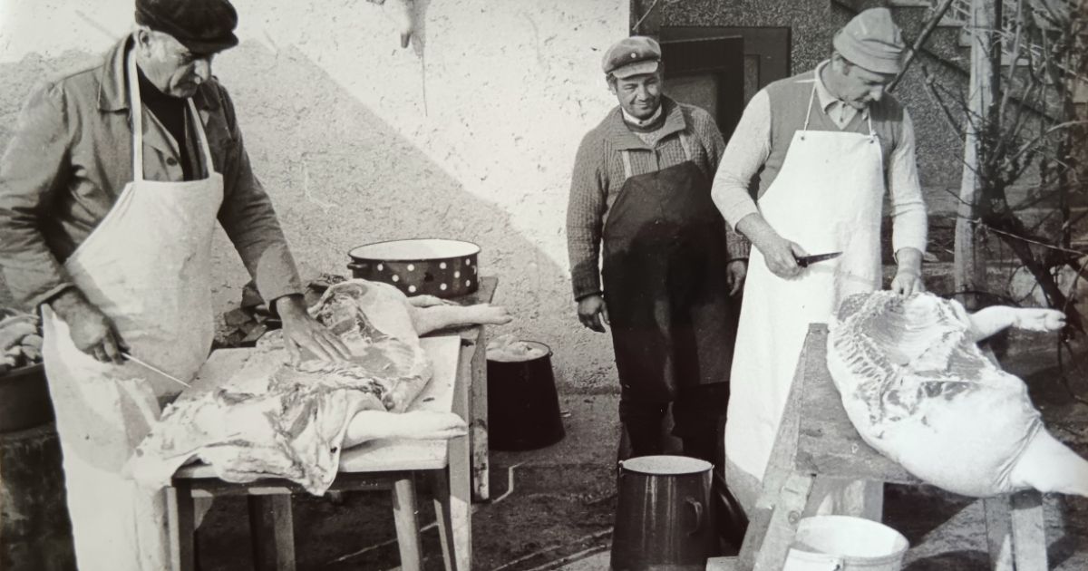 Dobrote iz svinjaka: Koline, koline, koline so pri nas! - Svet24.si