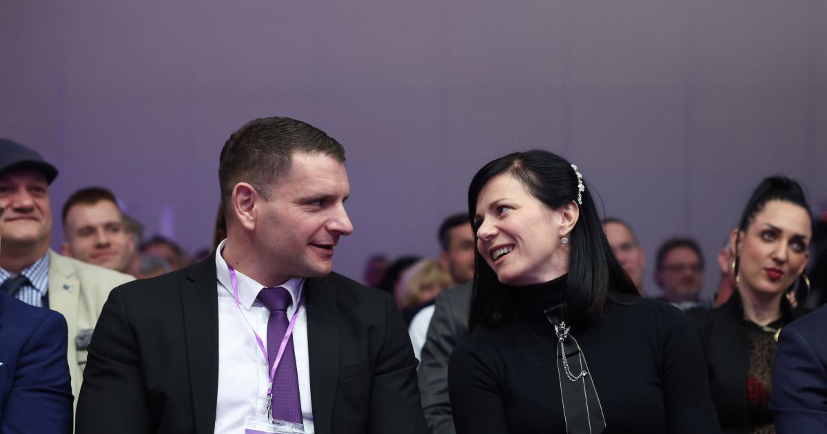 Zoran Stevanović je politični trgovec z rusko in srbsko senco – Reporter