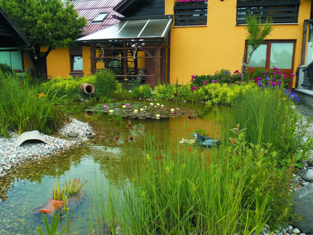 Naredite sami mlako ali ribnik! - Svet24.si