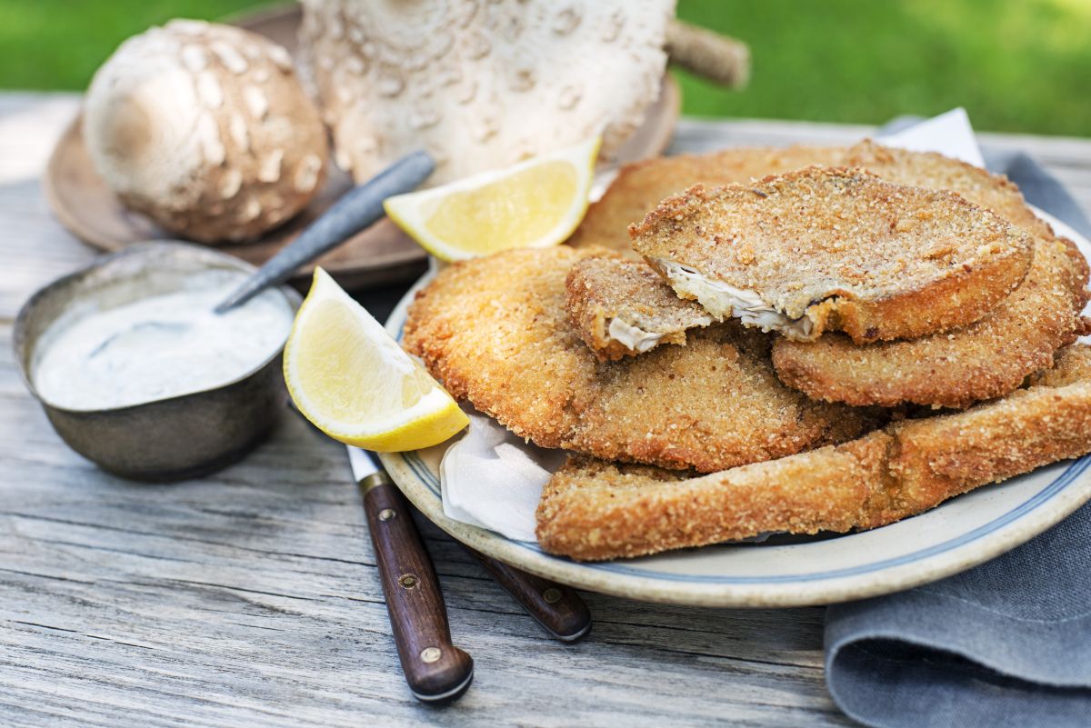 Pohane marele, kraljice jeseni na vašem krožniku - Svet24.si