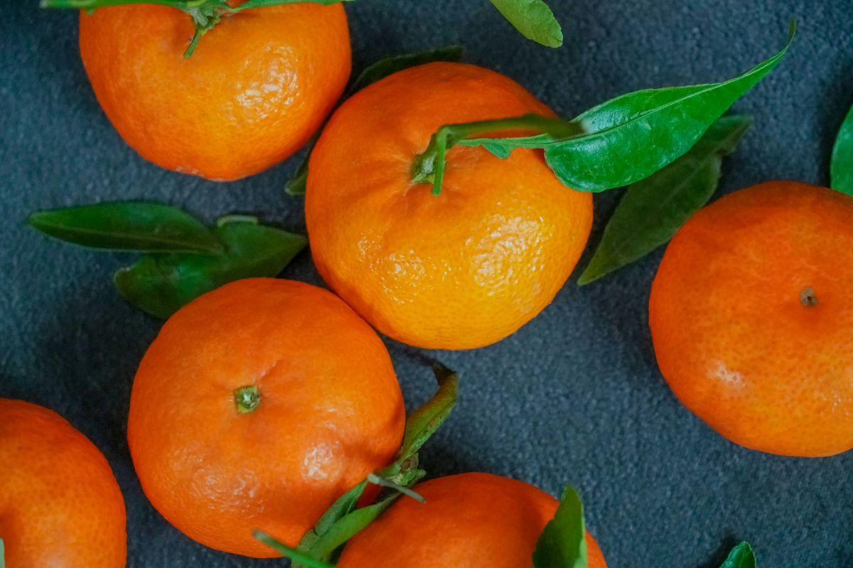 Klementine in mandarine: katere so bolj sladke? - Svet24.si