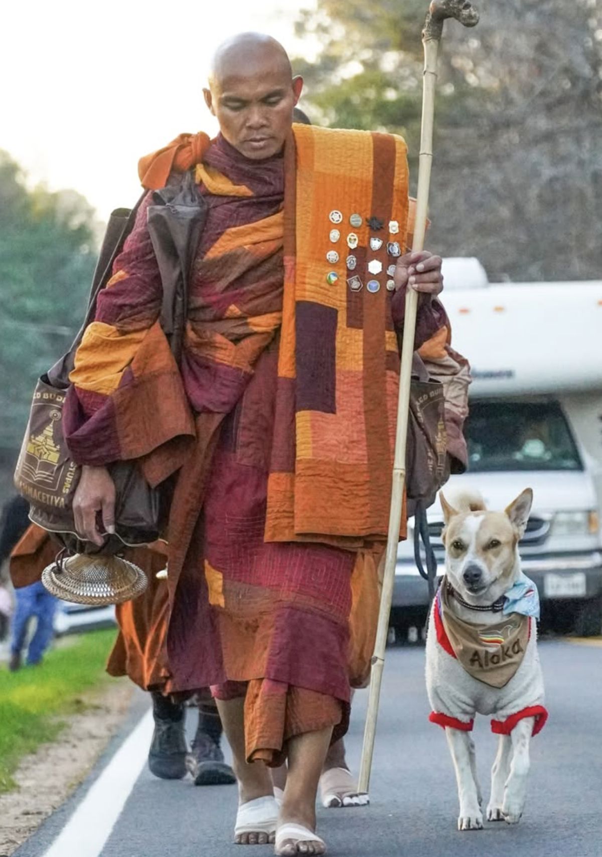 Pozitivna novica: Kuža Aloka hodi z mir! - Svet24.si