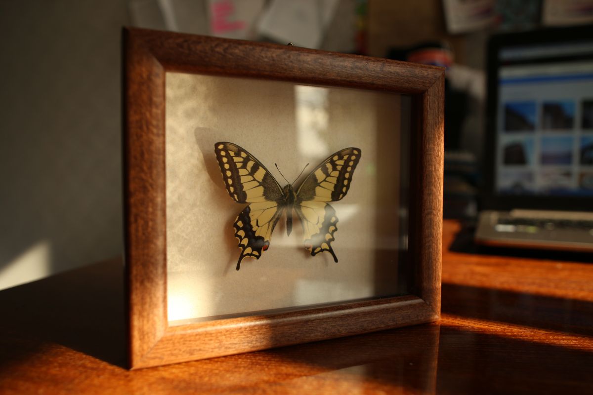 Kako zasnovati vrt, prilagojen podnebnim spremembam - Svet24.si