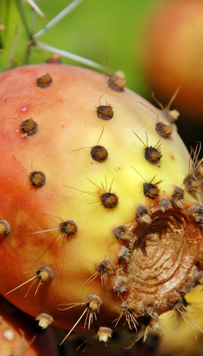 Vsa resnica na enem mestu - Svet24.si