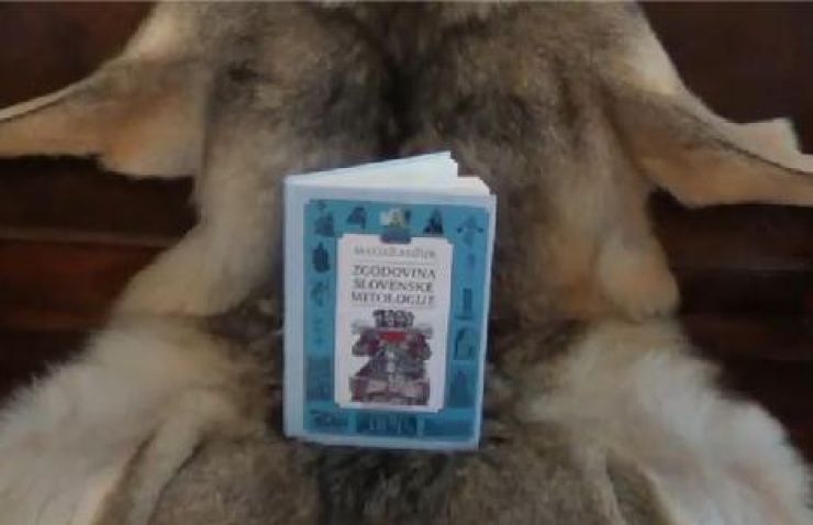 VIDEO: Predstavitev knjige Zgodovina slovenske mitologije | Radio Krka – Dolenjska v srcu