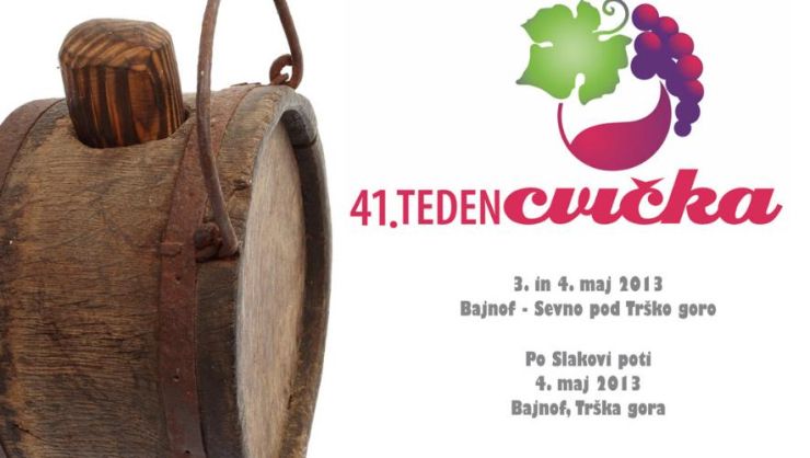 VIDEO: 41. Teden cvička | Radio Krka – Dolenjska v srcu