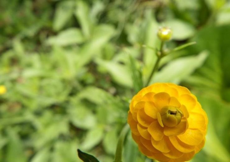 Brunov dokumentarni film v Novem mestu | Radio Krka – Dolenjska v srcu