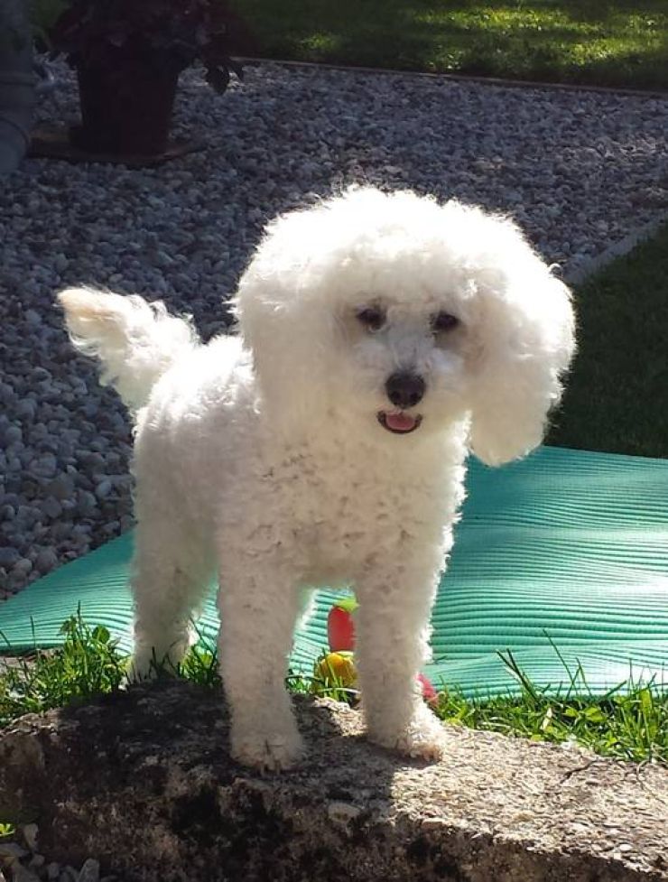 FOTO: Ste ju videli? | Radio Krka – Dolenjska v srcu