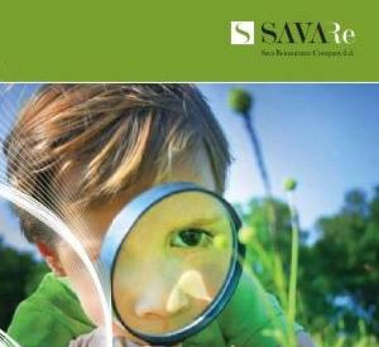 Sava Re o sodbi ustavnega sodišča | Radio Krka – Dolenjska v srcu