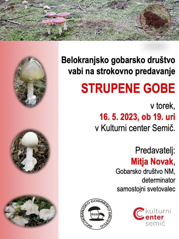 »Vse gobe so užitne, žal nekatere samo enkrat!« | Radio Krka ...