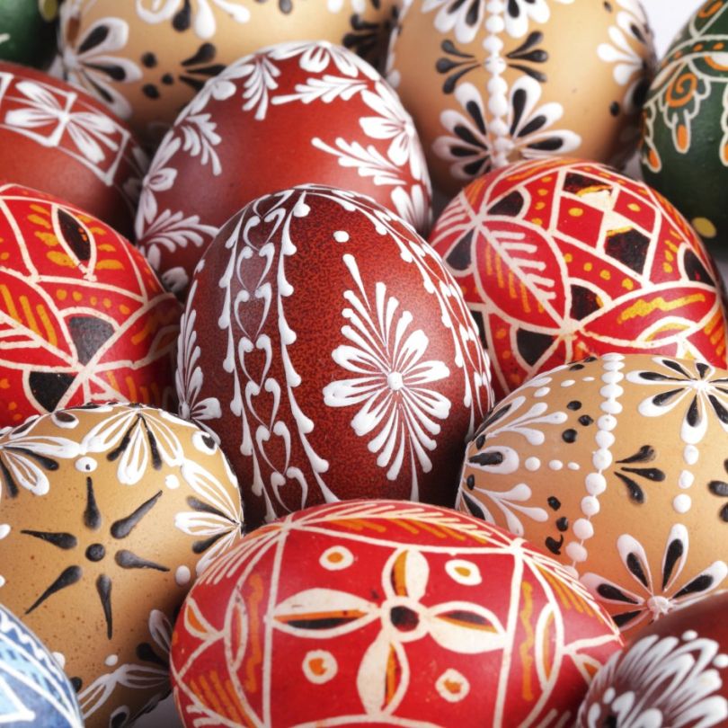 Pirhi po Sloveniji - Vestnik.si