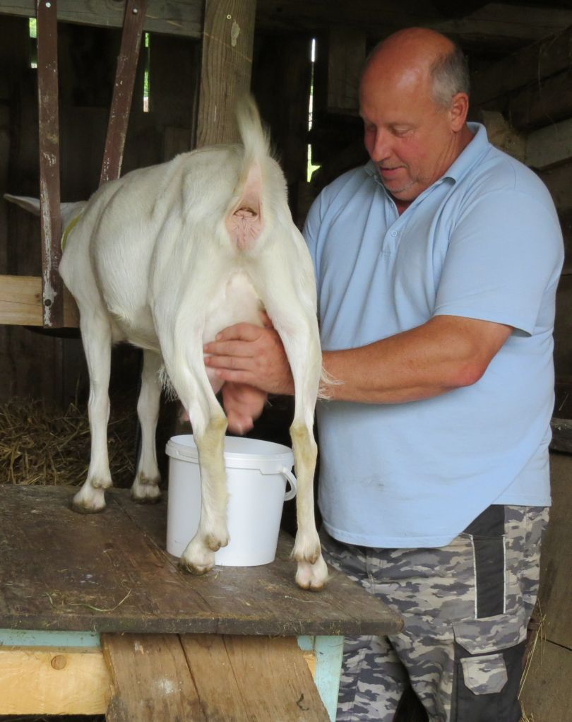 Nikoli ni prepozno za kmetovanje - Vestnik.si