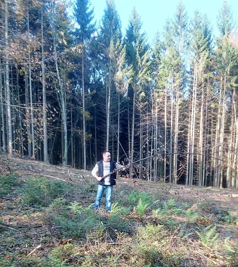 Gozd je za hude čase, če kmetija pogori - Vestnik.si